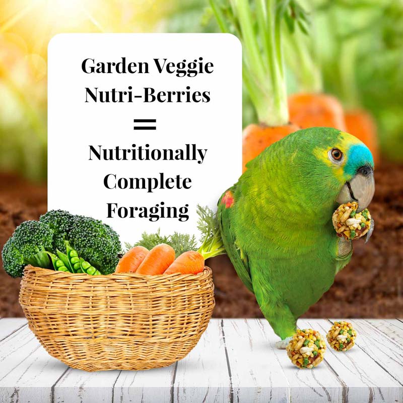 Garden Veggie Nutri-Berries – Lafeber Company