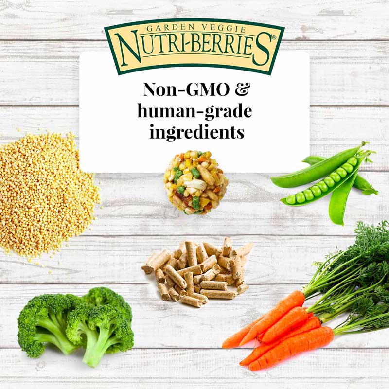 Garden Veggie Nutri-Berries – Lafeber Company