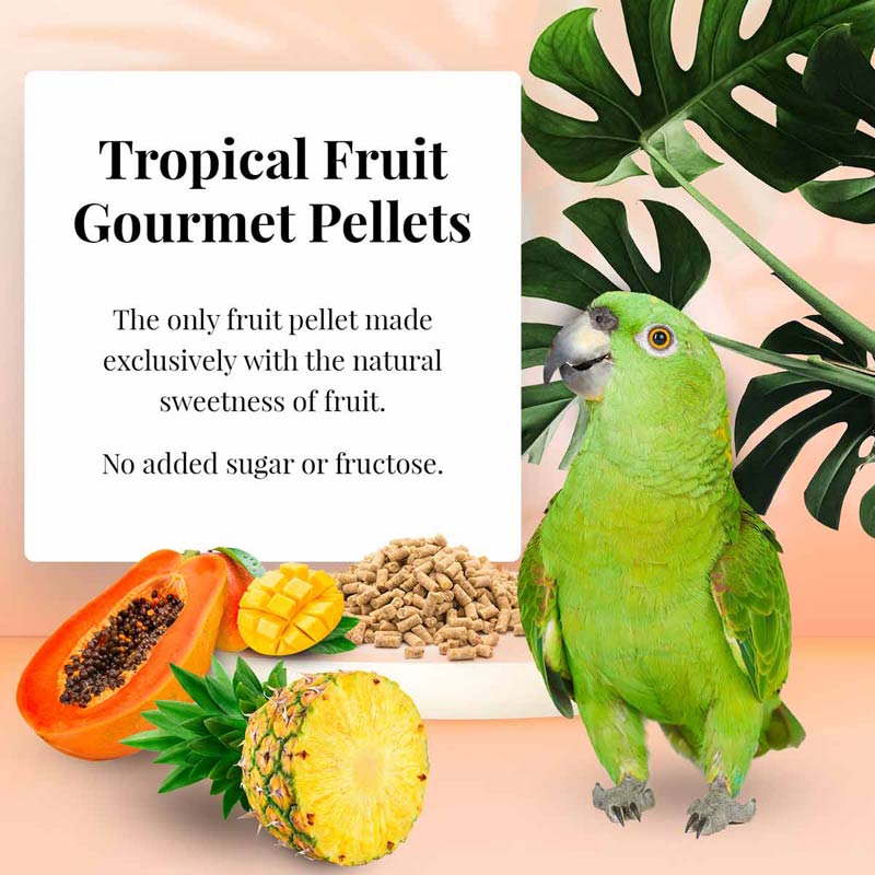Parrot Tropical Fruit Gourmet Pellets – Lafeber Company