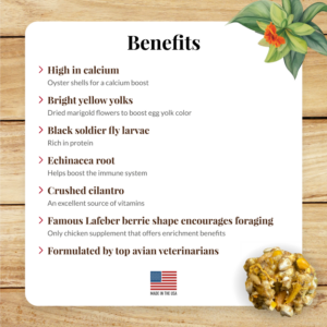 Booster Berries Enrich Chicken Supplement – Lafeber Company