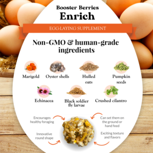 Booster Berries Enrich Chicken Supplement – Lafeber Company